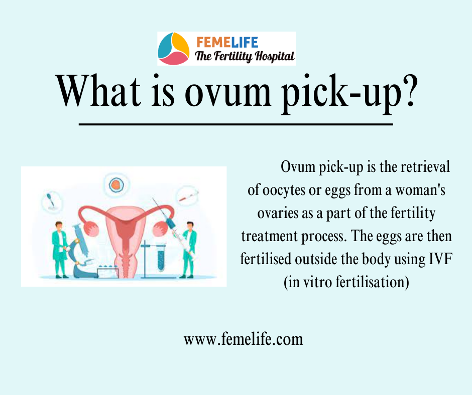 What is ovum pick-up? - After Embryo Transfer