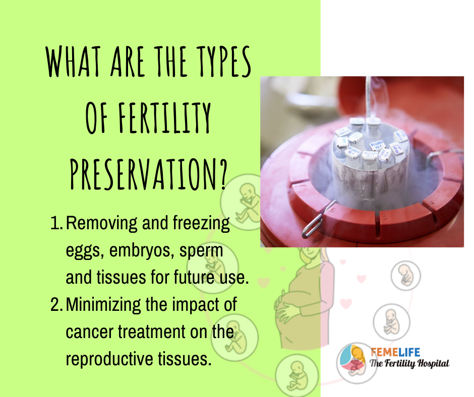 What are the types of fertility preservation? - After Embryo Transfer